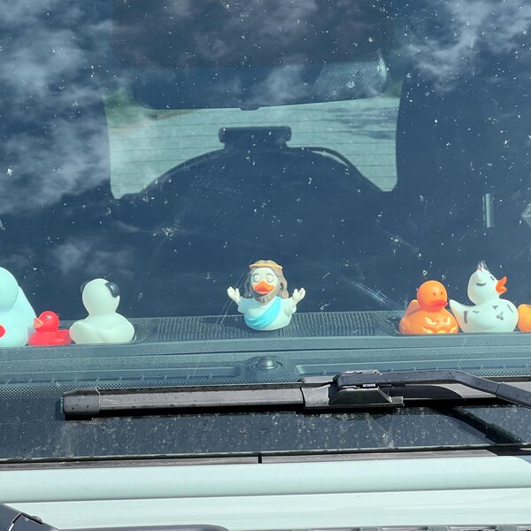 Cyclops Duck - Jeep Ducking Character for Collectors - PVC Free, Unisex ...