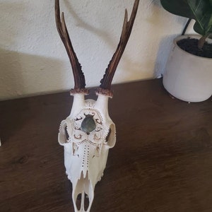 MADE TO ORDER Huge Real Deer Skull With Engraved Pentagram | Etsy