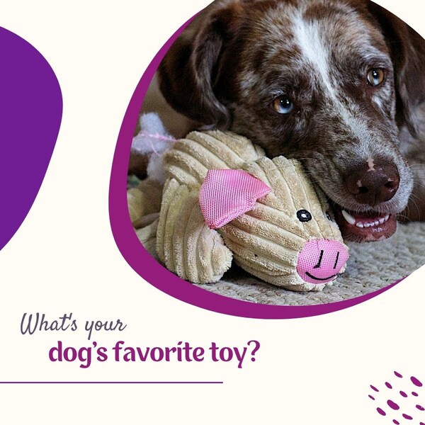 ADE (I) 120 Aesthetic Instagram Templates. Social Media Kit. Instagram ...