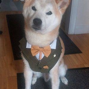 Dog Tweed Tuxedo Harness for Wedding Dog Birthday Suit Tux for - Etsy