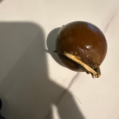 Large DRY PONMO IJEBU/ Washed Cow Skin - Etsy