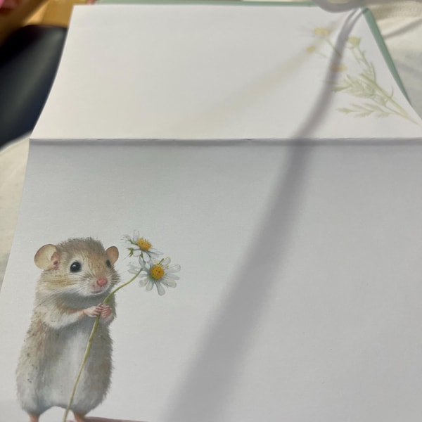 Mouse A5 Writing Paper, 10 Sheets Lined/unlined, Woodland Animal Note ...