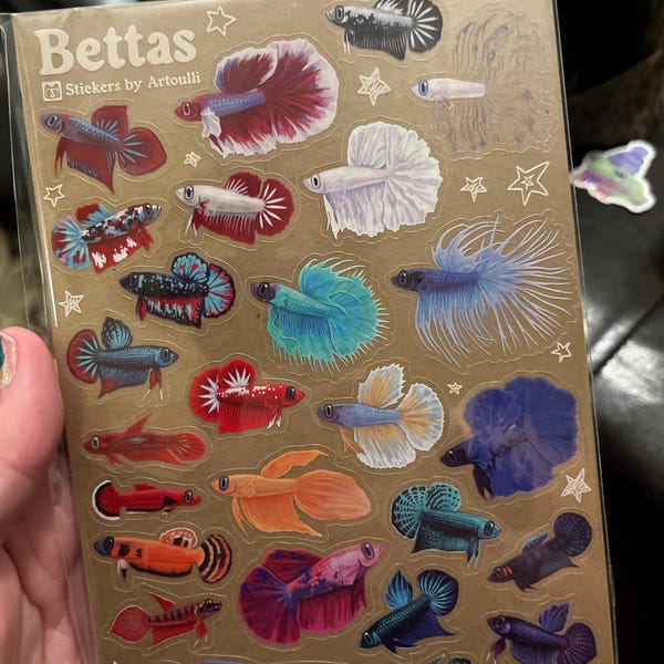 Betta Fish Sticker Sheet | Clear Transparent Aquarium Fish Stickers - Etsy