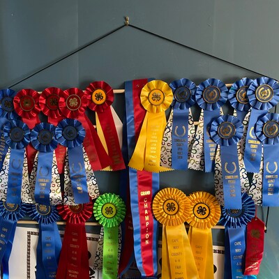 4-H FFA Ribbon Holder Display Award Rack Dog Show Ribbon - Etsy