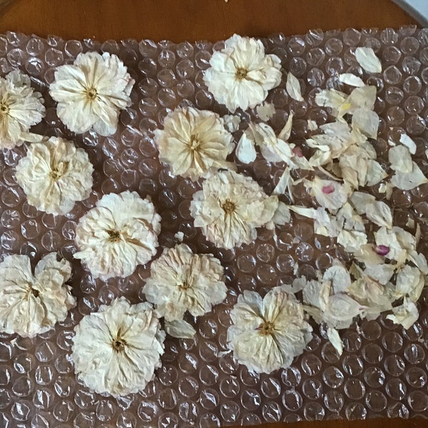 Pressed Flowers. Pressed Roses. Pressed Rose Buds. Red Roses. - Etsy