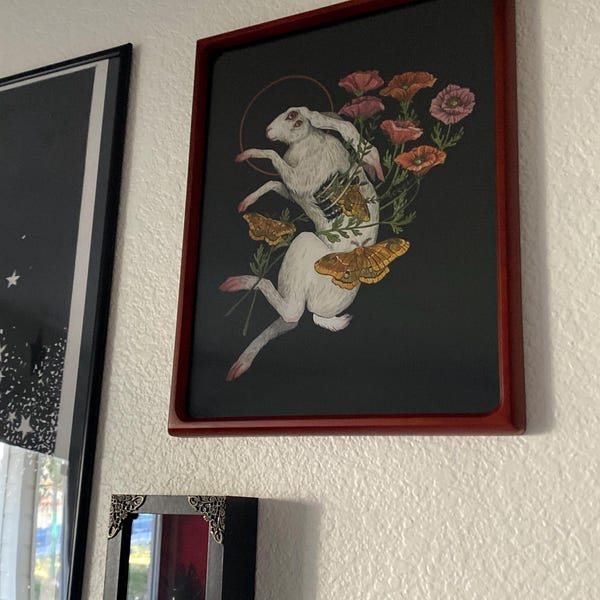 White Rabbit With Poppy Flowers- Giclee Print From Original Hand ...