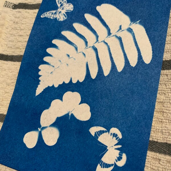 Cyanotype Stencil Kit , Sun Printing Kit Butterfly Edition - Etsy