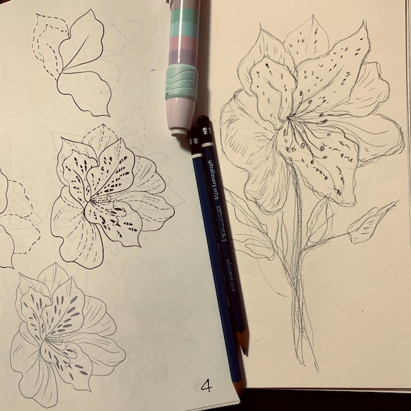 How to Draw Flowers Volume 2, Printable Worksheets, Flowers for Bullet ...