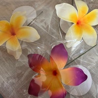 Moana's Kuiga, Moana Movie, Samoan Princess Crown /tuiga/kuiga Pale ...