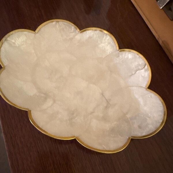 Arrowhead Sand Dollar Shell Extra Large Encope Michelini (1 Shell ...