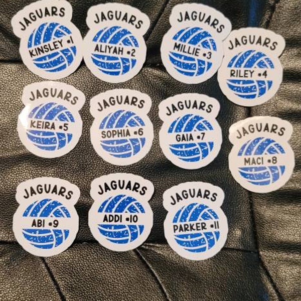 Personalized Team Volleyball Stickers Set of 10 | Sports Team Name ...