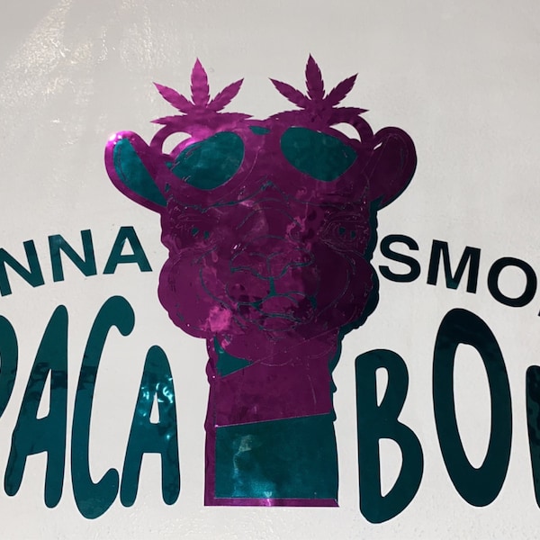 45 Weed Funny Sayings & Clip Arts SVG Bundle for Stoners, SVG, PNG, Cut Files for Cricut ...