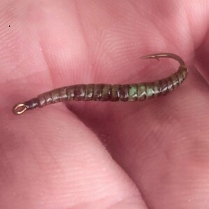 Realistic Mealworm Fly - Etsy