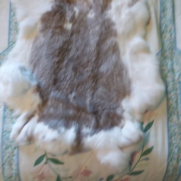 Lot of 4 Assorted Rabbit Hides- as Shown- Natural Rabbit Fur- No ...