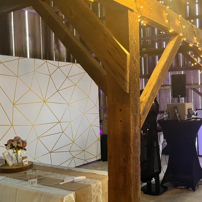 3D Slanted Wedding Open Arch Door Backdrop Stand Print Fabric Arch ...