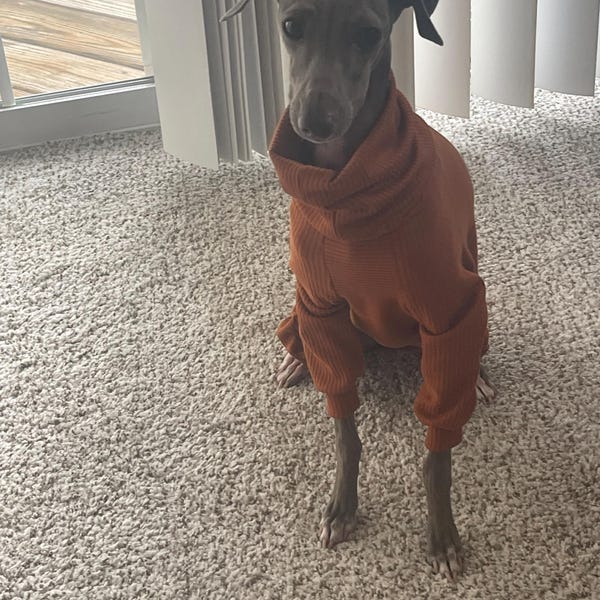 Italian Greyhound Rib Knit Pjs - Etsy