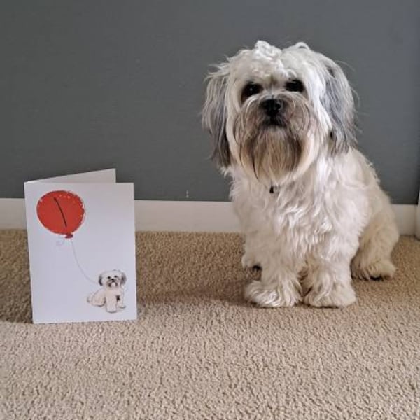 Shih Tsu Birthday Greetings Card for Dog Lover, Shih Tsu Card - Etsy