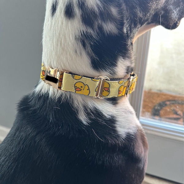 I Love You Smore Dog Collar, Sage Green, Martingale With Buckle ...