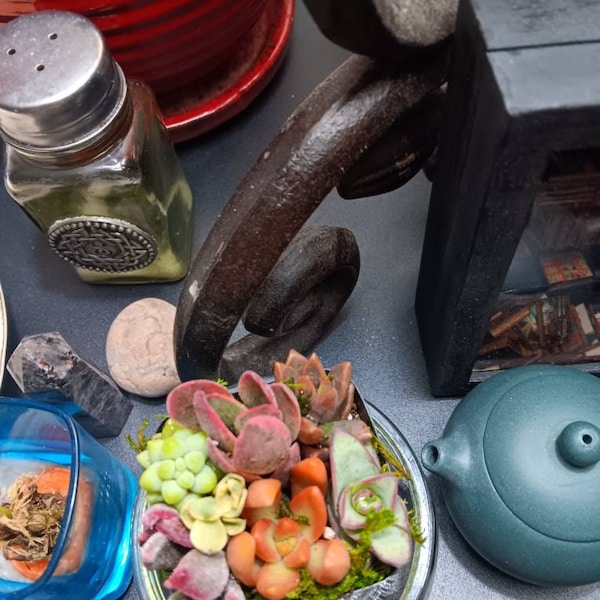 Fairy Farts - Live Micro Succulent Garden in 2 Inch Pot - Etsy