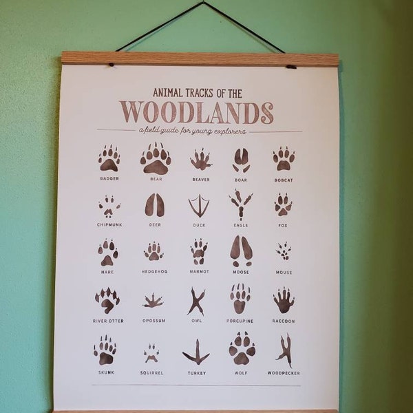 Animal Tracks Print, Woodland Animal Prints Poster, Woodland Nursery ...