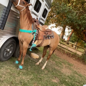 Braided Mule Tape Twist Hobble - Etsy