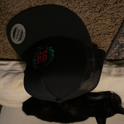 Tony Hawk's Pro Skater Logo Trucker Snapback Hat - Etsy