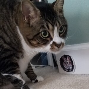 Pierogi & Potato Floral Crown With Roses and Poppies Dyngus | Etsy