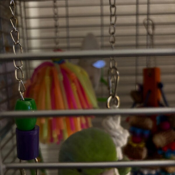 Rainbow Paper Shredder Bird/parrot Toy- Paper, Pony Beads. Great for ...