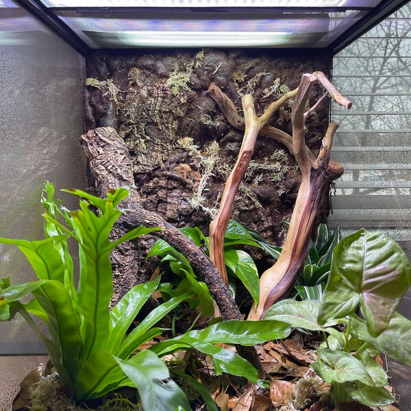 Manzanita Stump 12, Aquascape Centerpiece, Reptile Terrarium Climb ...