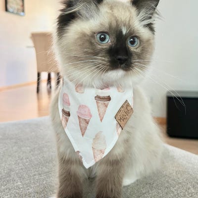Handmade Denim USA Appliqué Embroidered Eyelet Trim Design Bandana, Cat ...