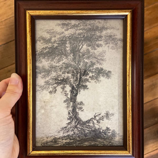 Vintage Etching Print Set Tree Sketch Art Forest Drawing MAILED ART ...