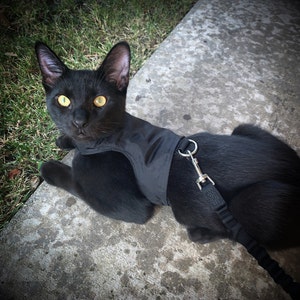 Safetykatz Walking Jacket Red Custom Made Cat Reversible | Etsy