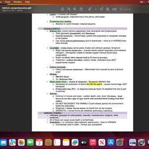 Comprehensive Clinical Pathology Vet Notes BCSE and NAVLE Prep Guide - Etsy