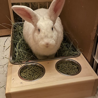 Stainless Steel Scatterless Litter Box With Guards Wood Hay Feeder Food ...