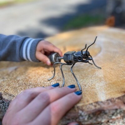 Spoon Beetle - Etsy