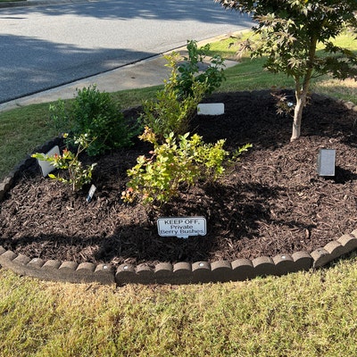 Dog Poop Sign Dog Sign Curb Your Dog Please Clean up After - Etsy