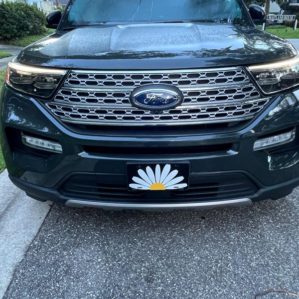 Green Palm Tree License Plate, Cute Car Accessory, Coastal License ...