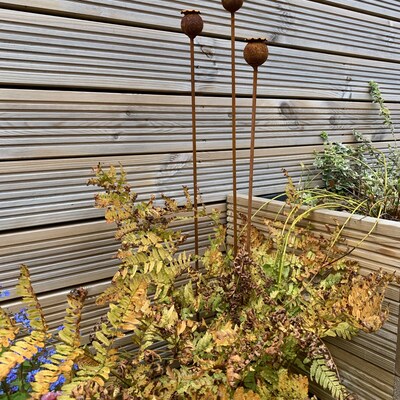 Set of 3 Rusty Poppy Seed Head Pattern Naturally Rusting Ornamental ...