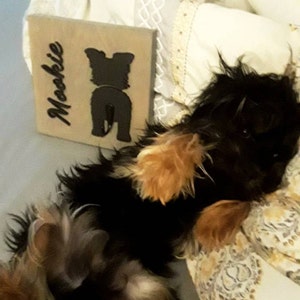 Dog leash hook-custom dog leash hook-dog leash hook with | Etsy