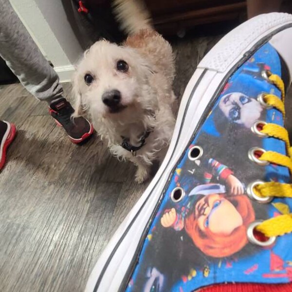 Halloween Converse High Tops - Custom Scary Horror Sneakers for ...