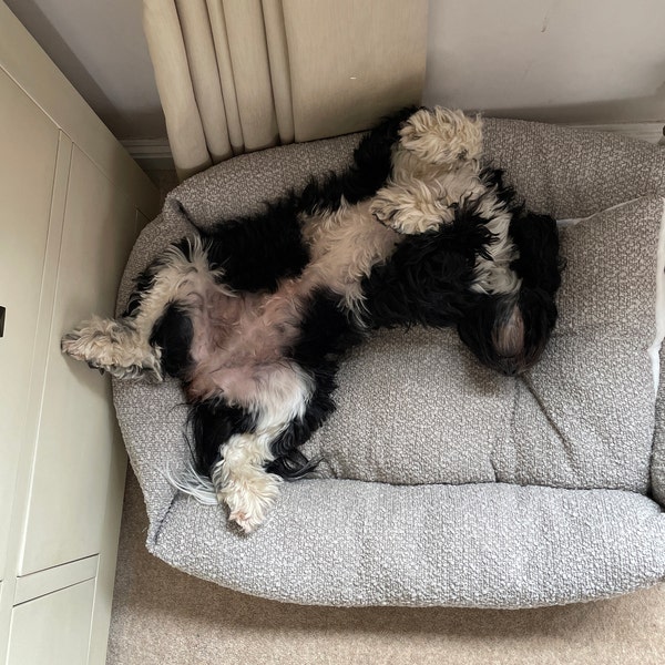 Personalised Cosy & Calm Puppy Box Bed | Luxury Dog Beds | Ideal for ...