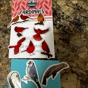 Orca Magnet Set Killer Whale Waterproof Vinyl Magnets for Refrigerator ...