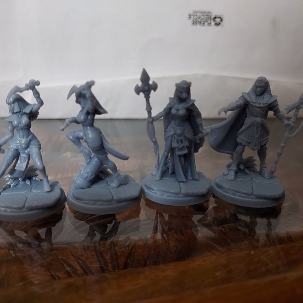 The Sherriff of Nottingham With Guy of Gisbourne and Guards - Etsy
