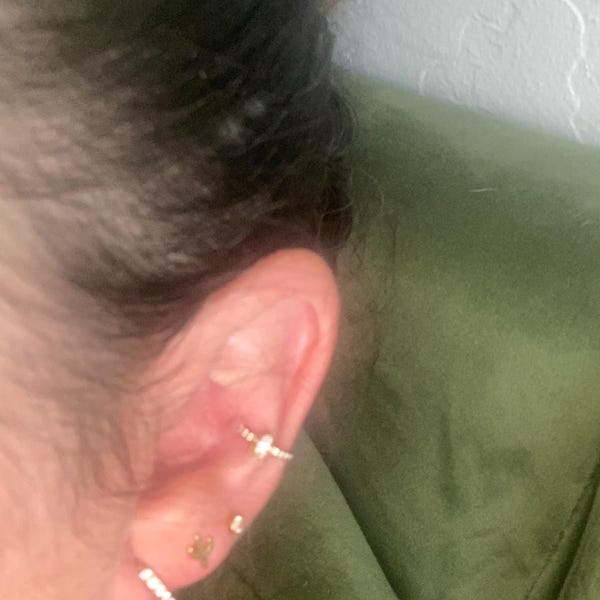 Triple Stack Conch Clicker, Gem Smooth Bead, G23 Titanium Conch, Gold Conch Hoop, Conch Earrings ...