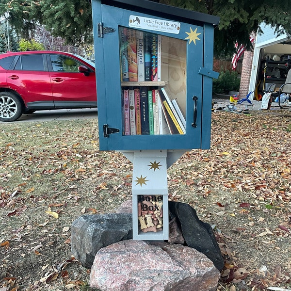 Kindness Box for Little Libraries - Etsy