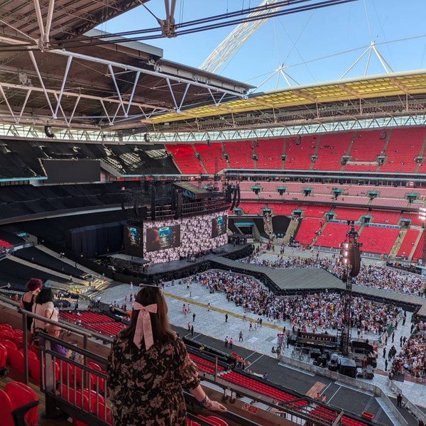 NIALL HORAN Inspired Tour Bow FASTSHIPPING Bff Birthday Gift - Etsy