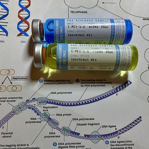 Movie Prop Special Agent Case Investigation Files / 3 X FBI - Etsy