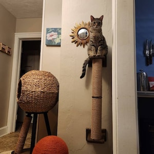 Cat Furniture Set, Corner Cat Perch, Cat Bridge for Wall, Cat Shelves ...