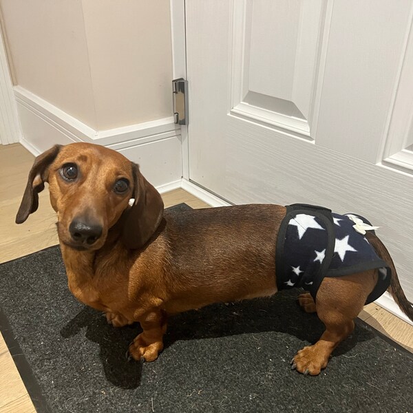 Dog Hygiene Knickers / Dog Season Pants Handmade by Me! MADE TO ORDER ...