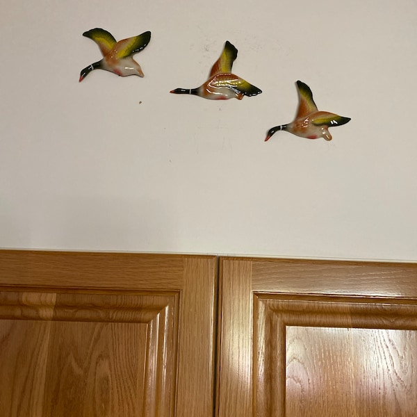 Ceramic Wall Hanging Ducks , Galahs , Great Australian, Hanging Bird ...